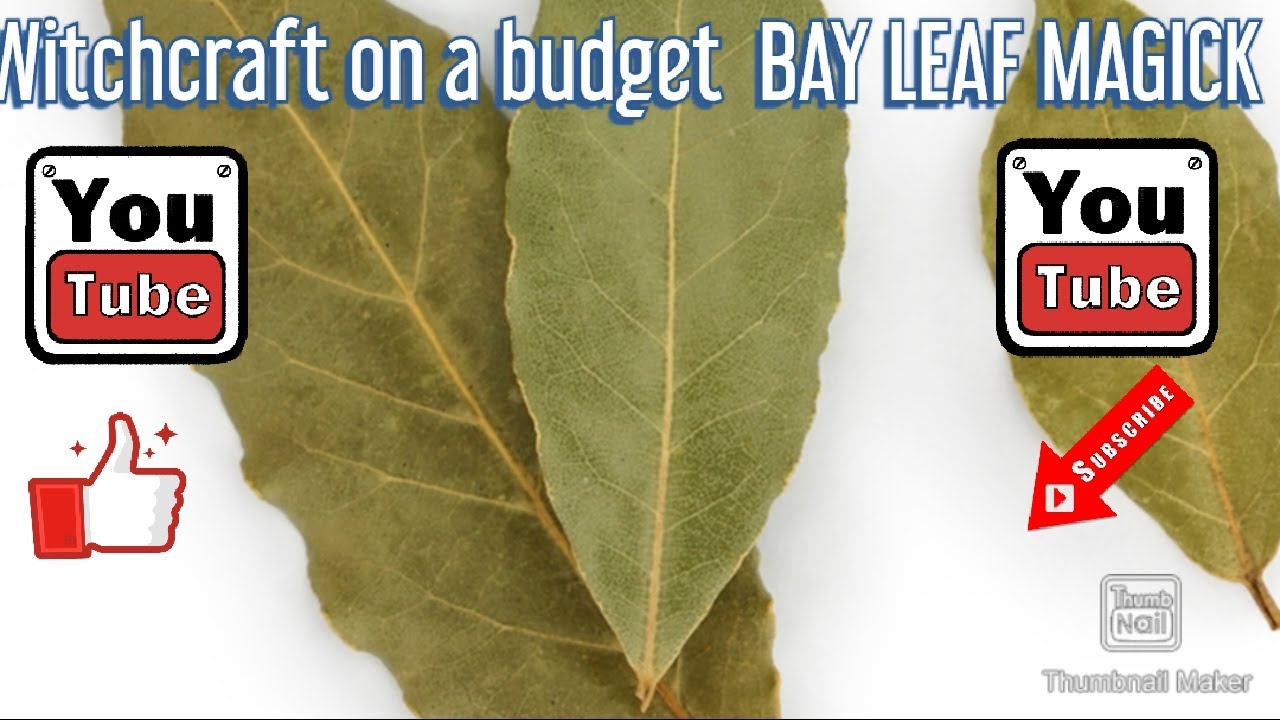 WITCHCRAFT on a budget SPELLS WITH BAY LEAVES part 1 BAY LEAF MAGICK 5 ...