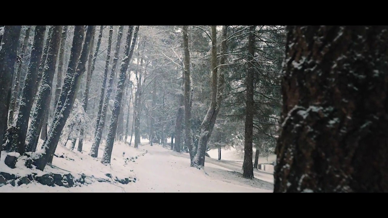 Cinematic Snowfall - Sony a7sii - YouTube