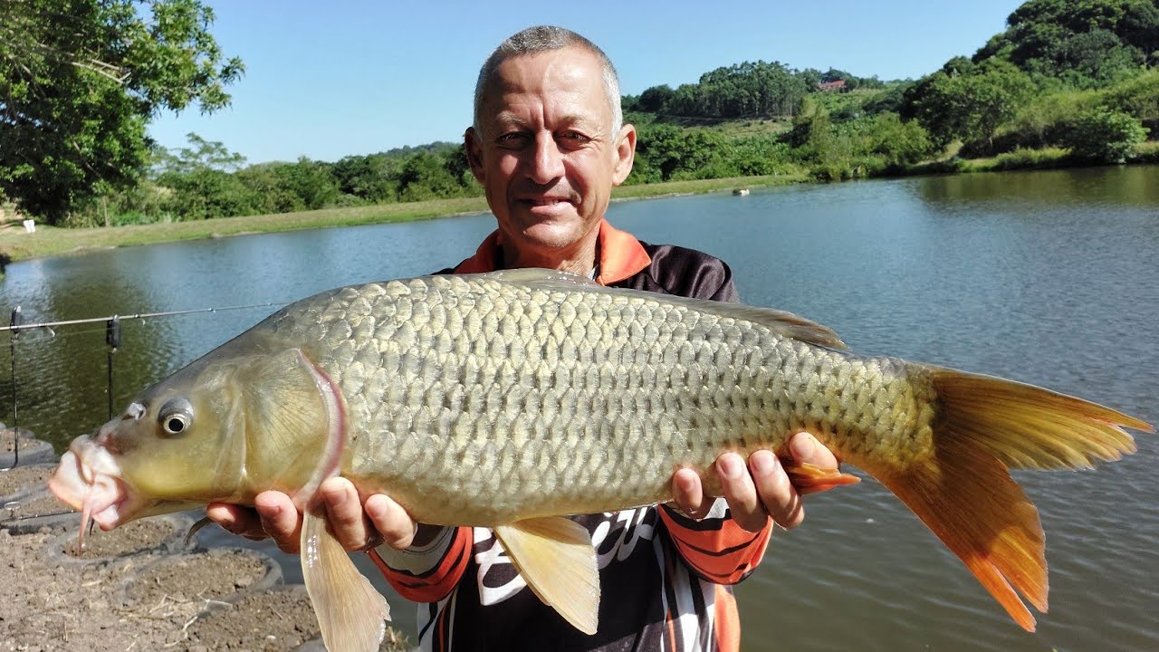 65, announcemen of subscriber 500, some big carp Magic Baits. - YouTube
