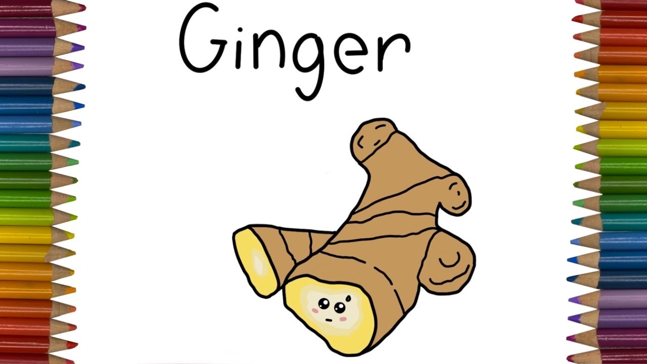 How to Draw a Ginger | Easy Drawing Tutorials for Kids by Colours and ...