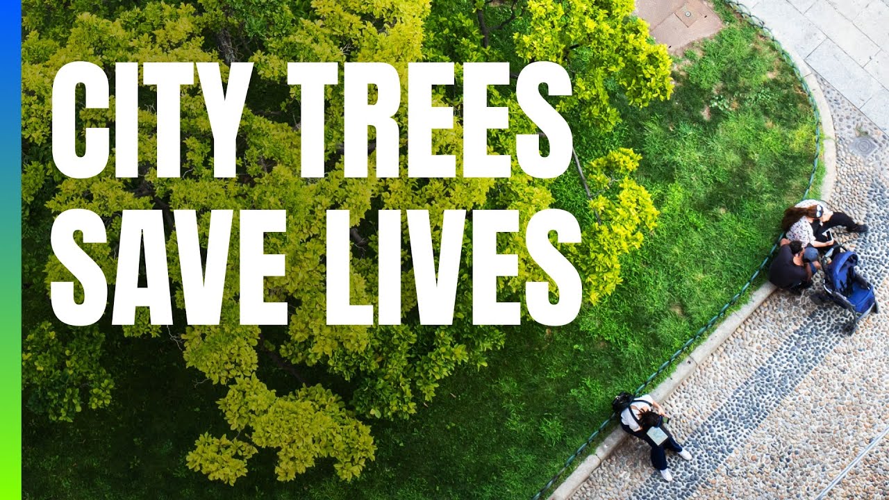 City trees are saving lives AND helping the planet - YouTube