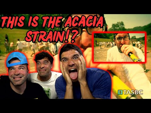BREAKDOWN CAME OUTTA NO WHERE - The Acacia Strain - The Hills Have Eyes (Reaction)