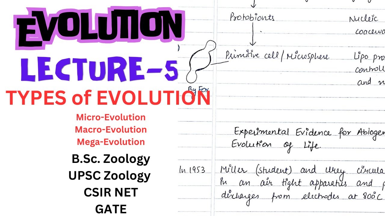 Types of Evolution | Micro,Macro,Mega-Evolution | Notes in Description ...