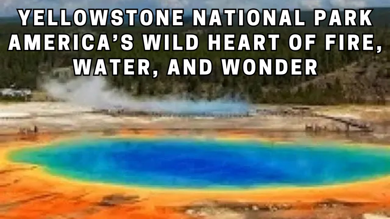 Yellowstone National Park America’s Wild Heart of Fire, Water, and ...
