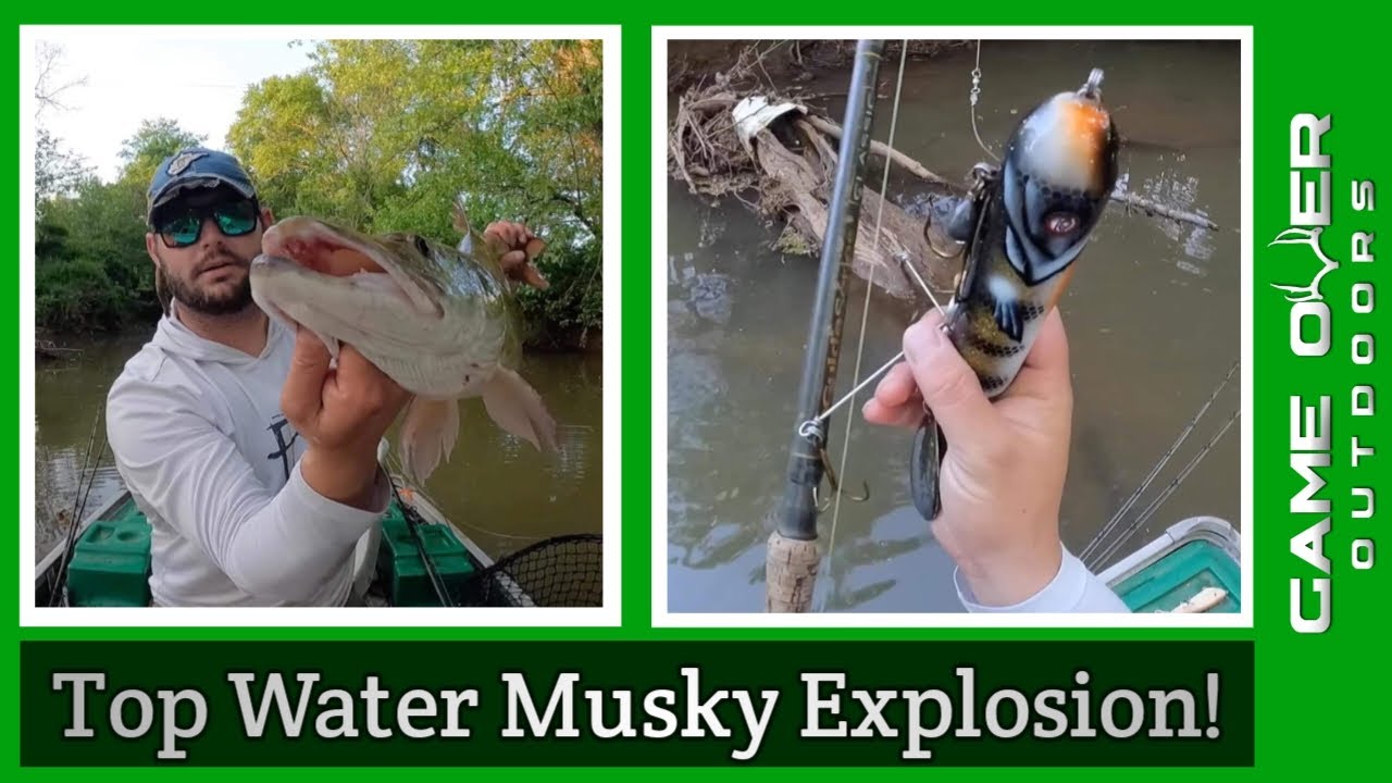 Unbelievable Jumping Musky On TOPWATER! Self Filming Muskie - YouTube