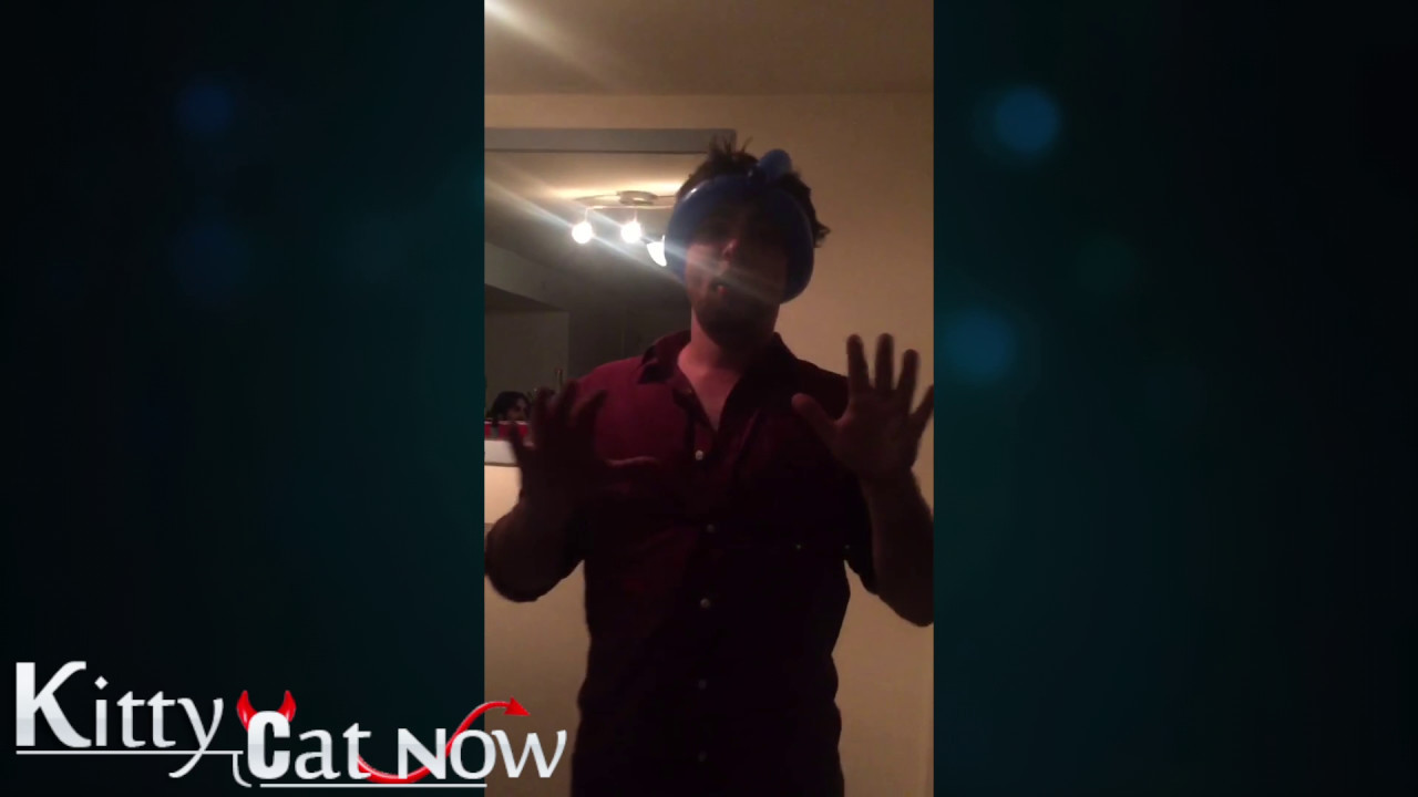 Kitty Cat Now We Know how to Party - YouTube