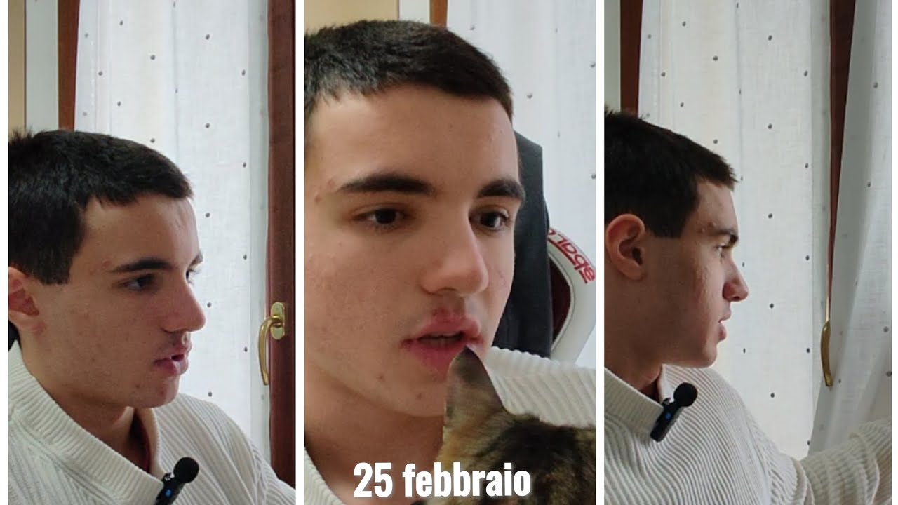 questo gatto non mi darà mai pace - giorno 119 - YouTube