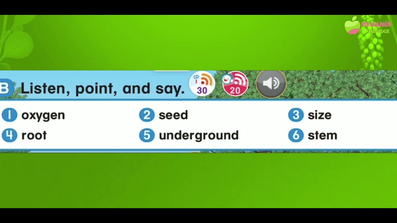 Everybody Up 5 Unit 2 Lesson 4 - YouTube