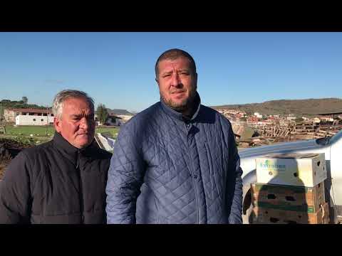 AYVALIK KÜÇÜKKÖYDEN RAHMETLİ BÜFECİ ALONUN KANLARINDAN ALDIK DOLMUŞCU ÜNSAL ABİDEN AKŞAM İHALEMZ VAR