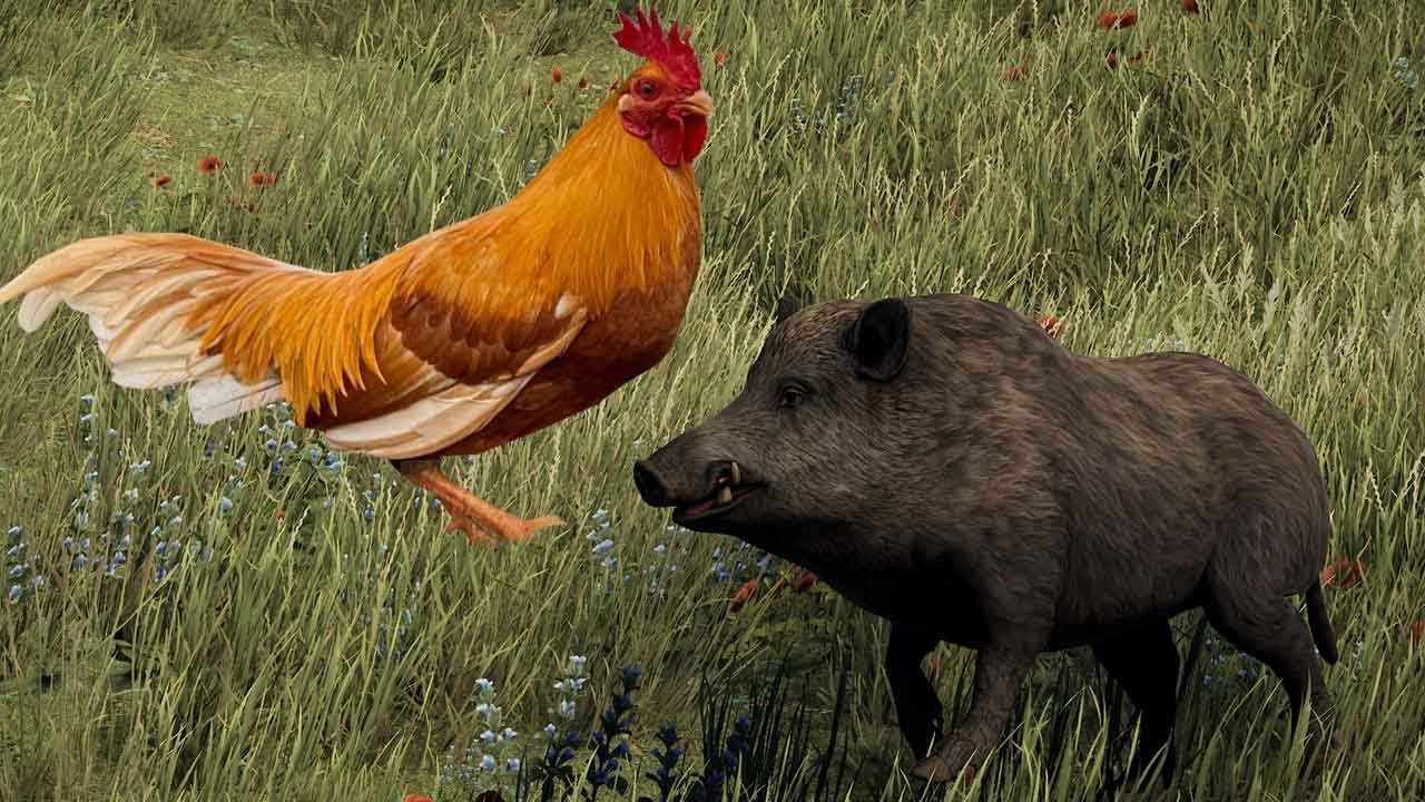 RUST - Chicken makes boar run - YouTube