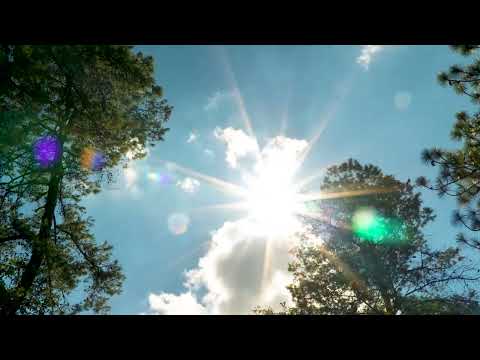 Sunset time। Sunrise nature status ।Nature background music short#subscribe #sunrise