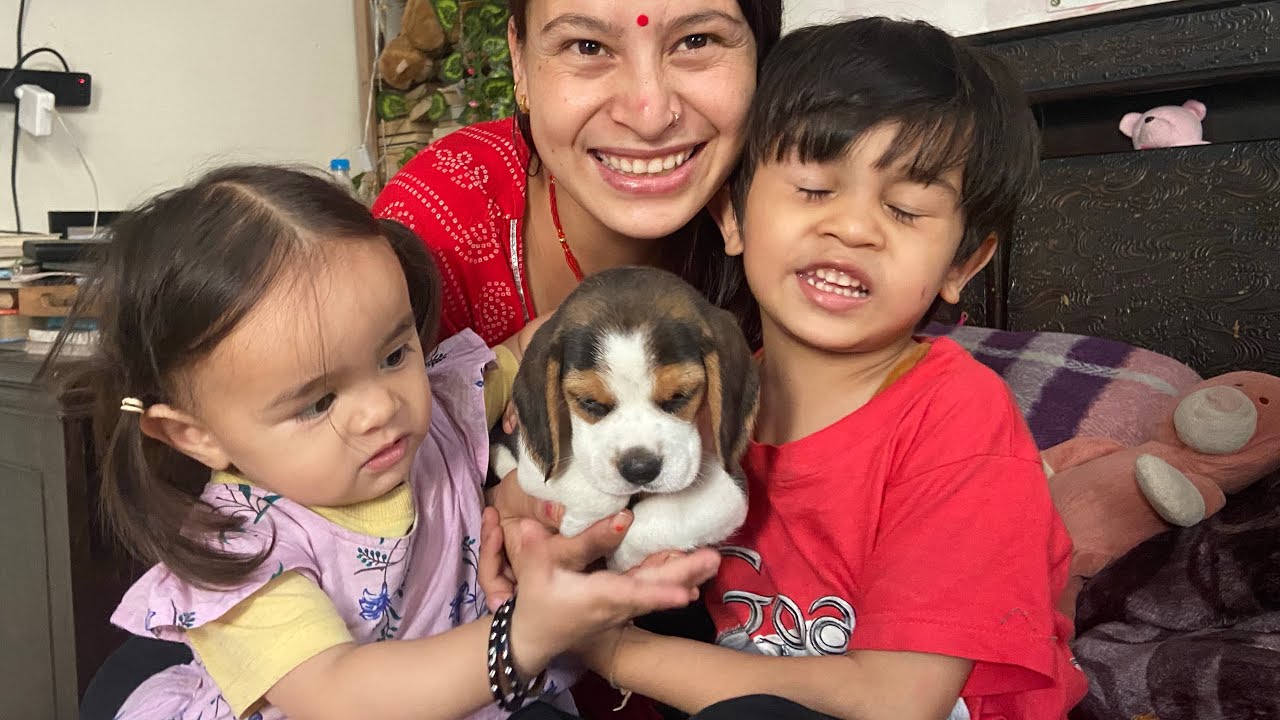 Hamara New Family Member 😍 - YouTube