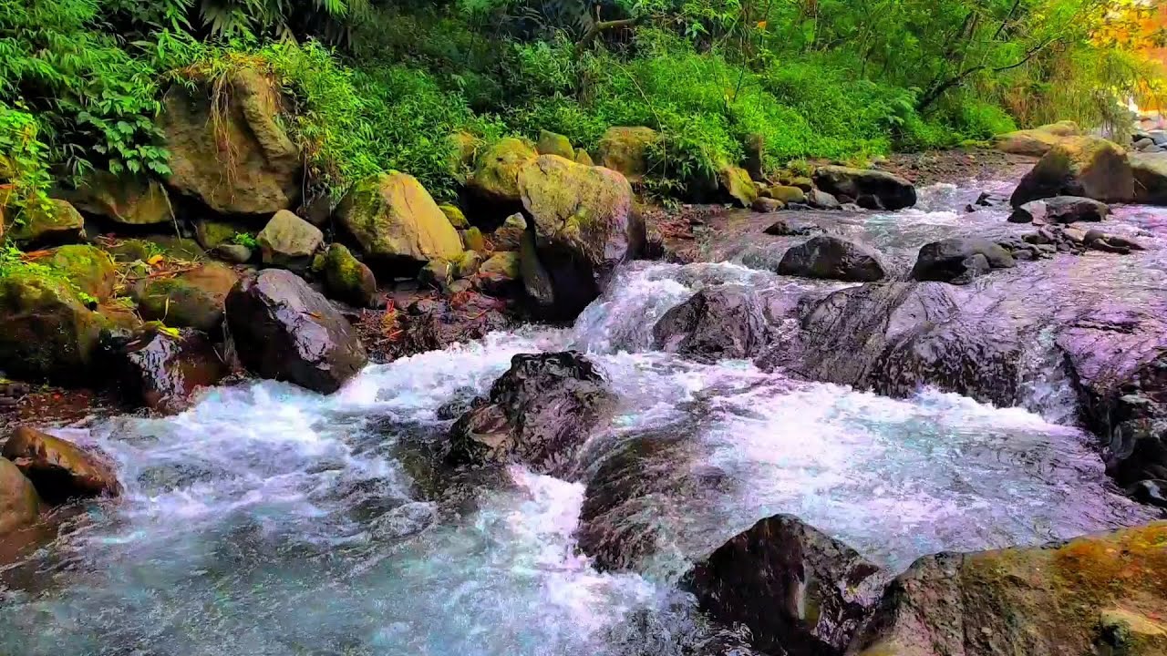 Mountain Stream, River Flowing, River Relaxation sounds to Relieve ...
