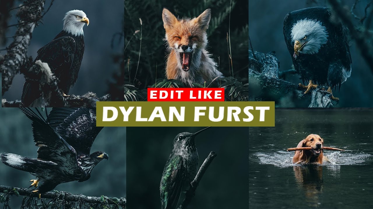 HOW TO EDIT LIKE DYLAN FURST | @FURSTY | Lightroom Mobile - YouTube