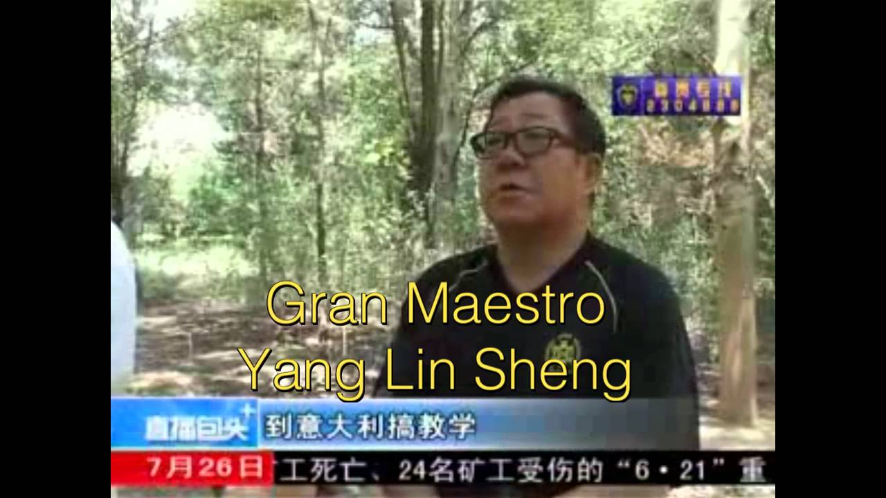 Intervista in Cina al Gran maestro Yang Lin Sheng - YouTube
