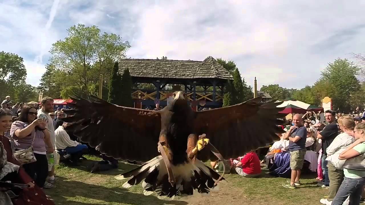 Sky Kings - Birds of Prey - Final Weekend Promo - YouTube