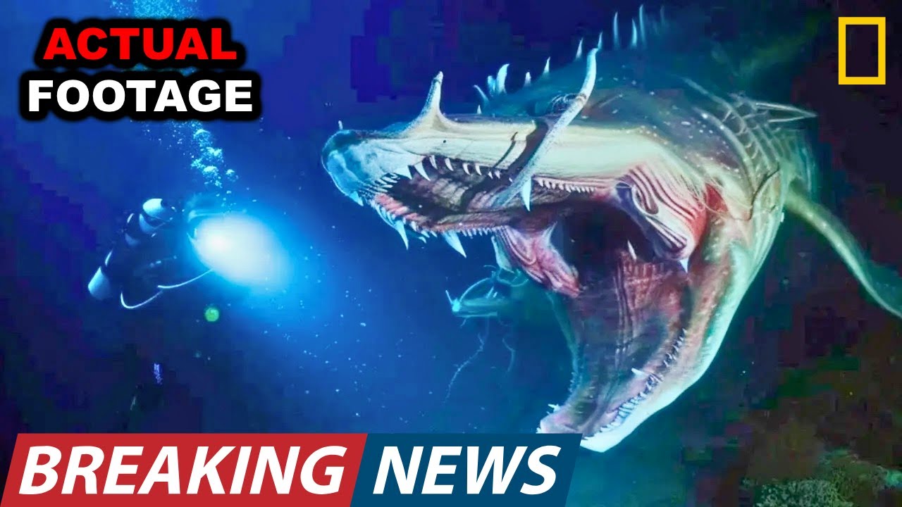 National Geographic Scientists Lose Contact With Sub After Capturing ...