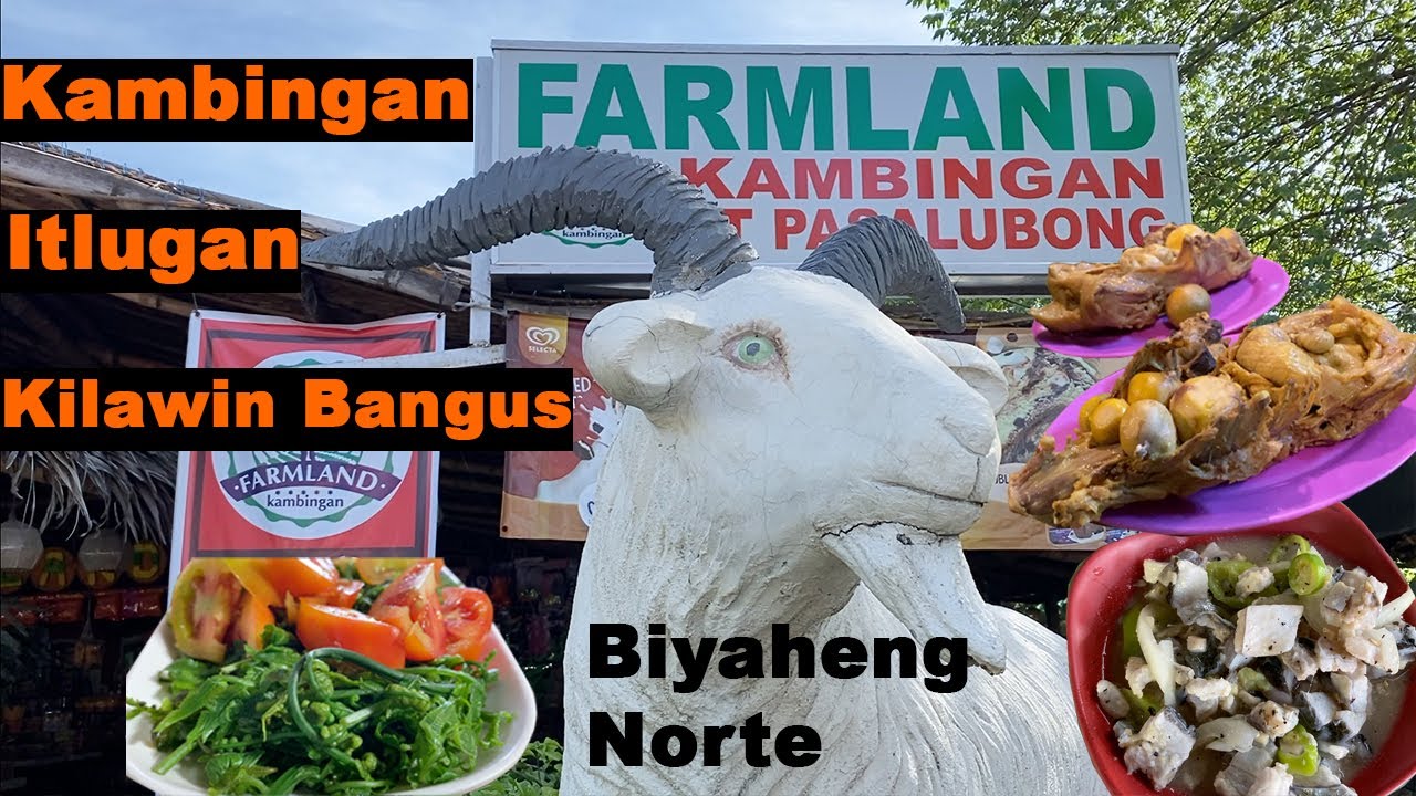 Kambingan Itlogan at lugawan sa Norte Tikim#49 - YouTube