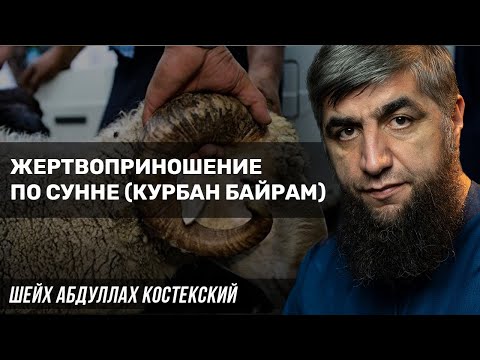 Жертвоприношение по сунне (Курбан Байрам)