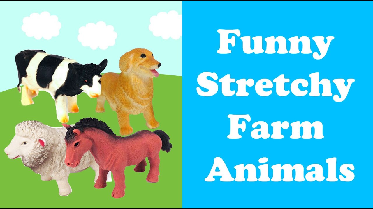 Let's learn farm animal's name, funny stretchy animals adorable farm ...
