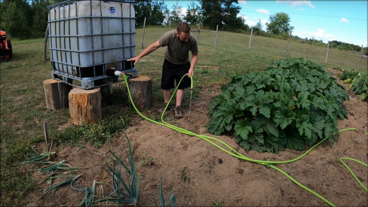 Watering the Garden with IBC Tote During Drought - YouTube