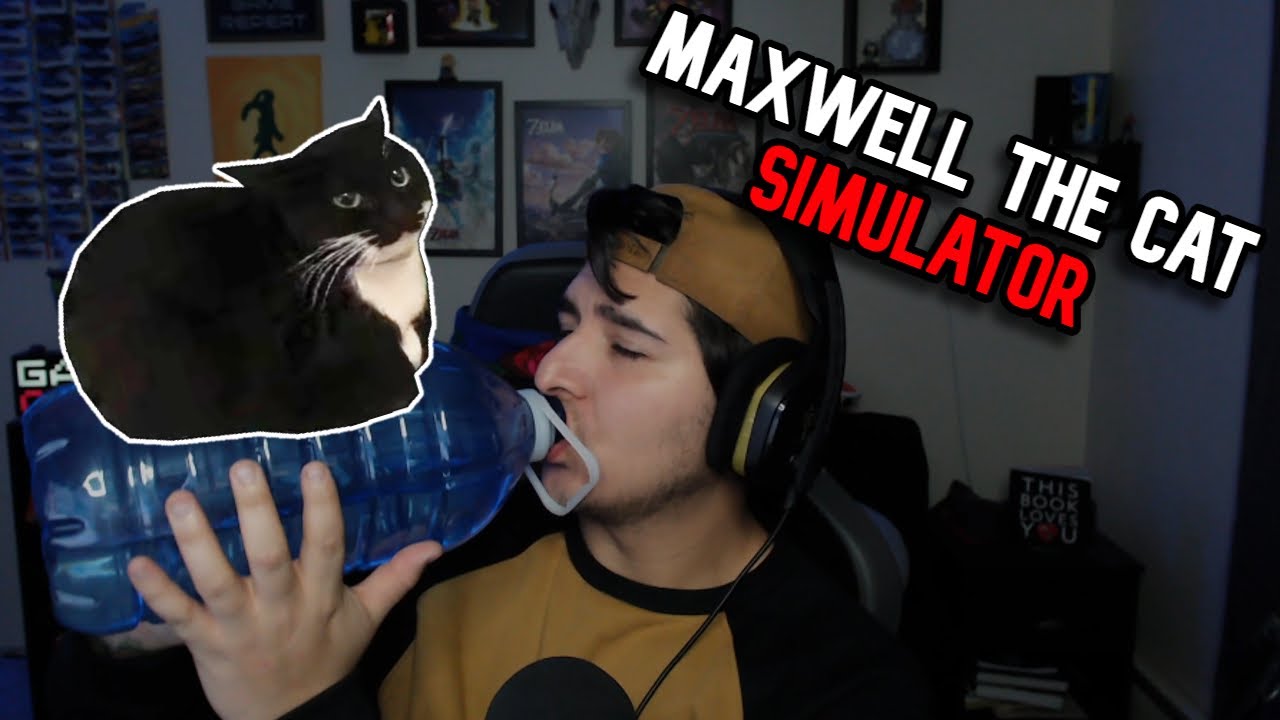 Maxwell The Cat Simulator - YouTube