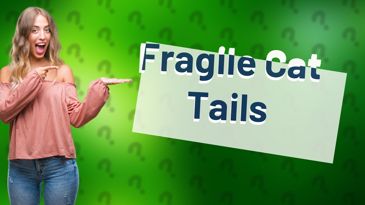 How fragile is a cat's tail? - YouTube