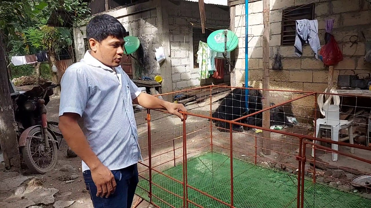 PAANO GUMAWA NG KULUNGAN NG MANOK NA MADALING LINISIN PART 2|CHICKEN ...