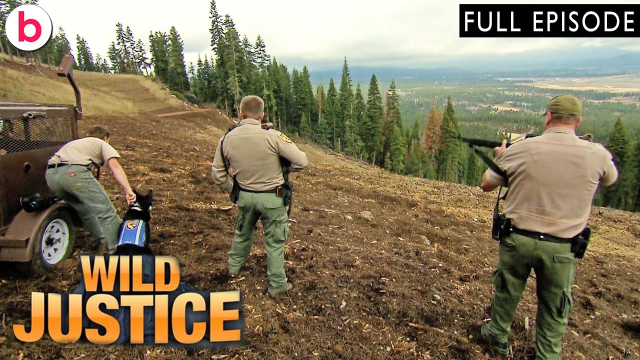 Wild Justice: California | Season 1 Episode 10 (2010) | FULL EPISODE ...