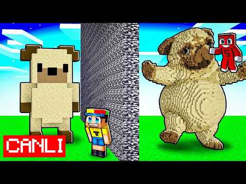 ARKADAŞIMI YAPI KAPIŞMASINDA PIBBLE ile TROLLEDİM !! - Minecraft [ CANLI YAYIN ]