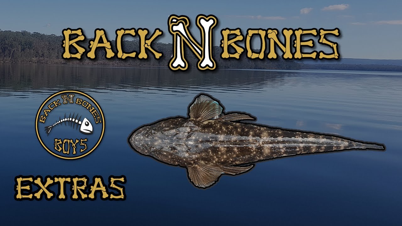 Massive Flathead Everywhere. - YouTube