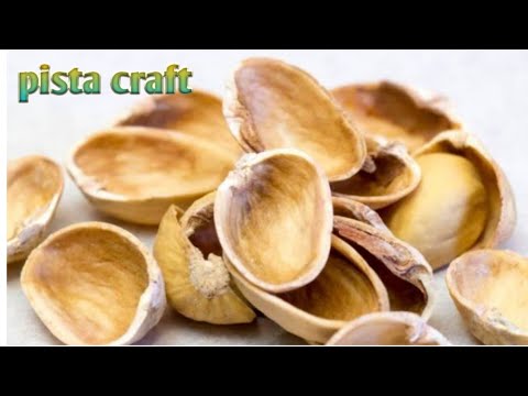 pista shell idea || pista shell flower || beautiful art - YouTube