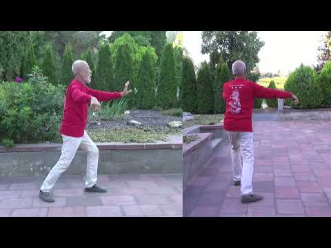 108 moves Moy TaiChi set - Move #35 & #36 High Pat on Horse