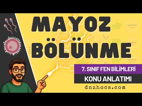 7. Sınıf Fen: Mayoz Bölünme (Mitoz Farkları Dahil) | Full Konu Anlatımı