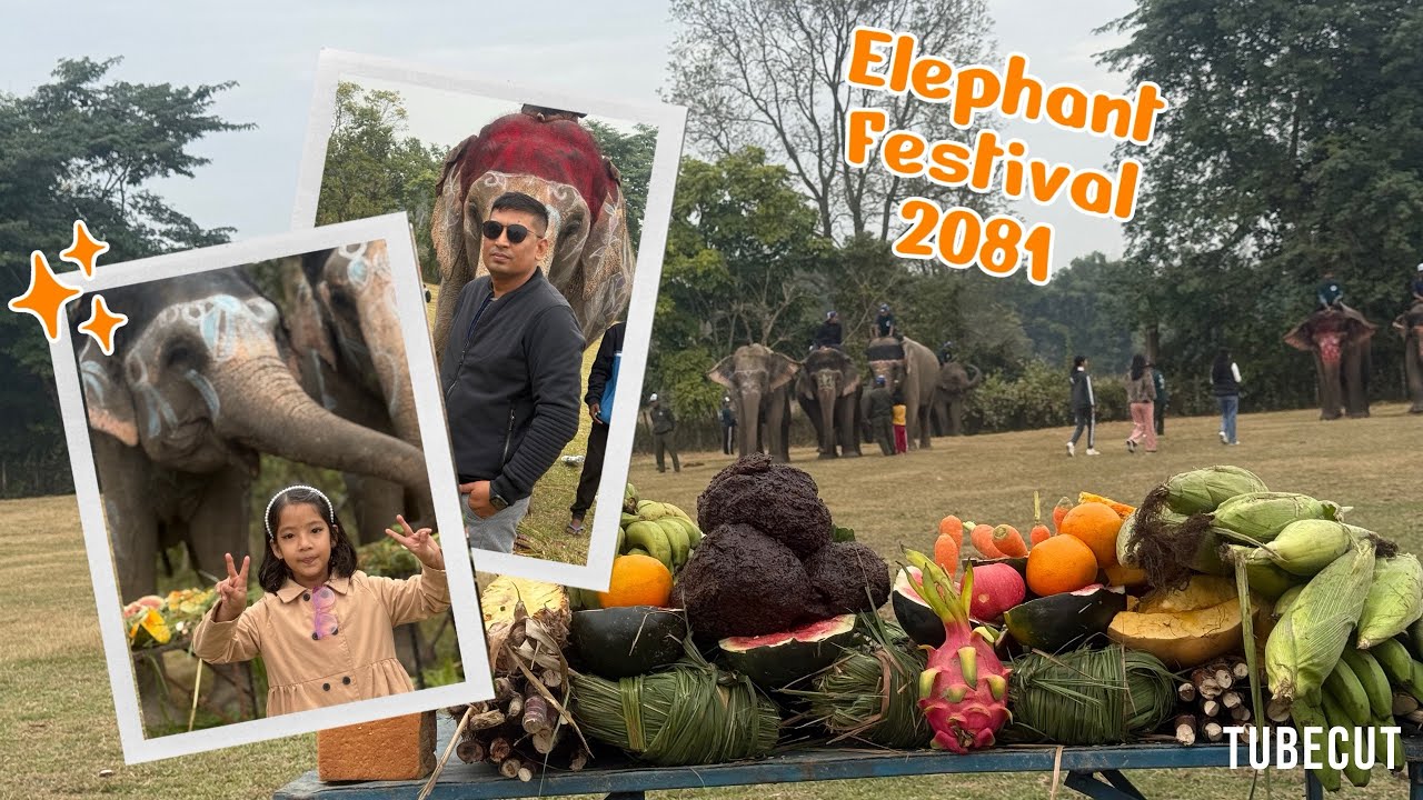 Elephant Festival 2081 || Elephant picnic || Sauraha Chitwan || Visit ...