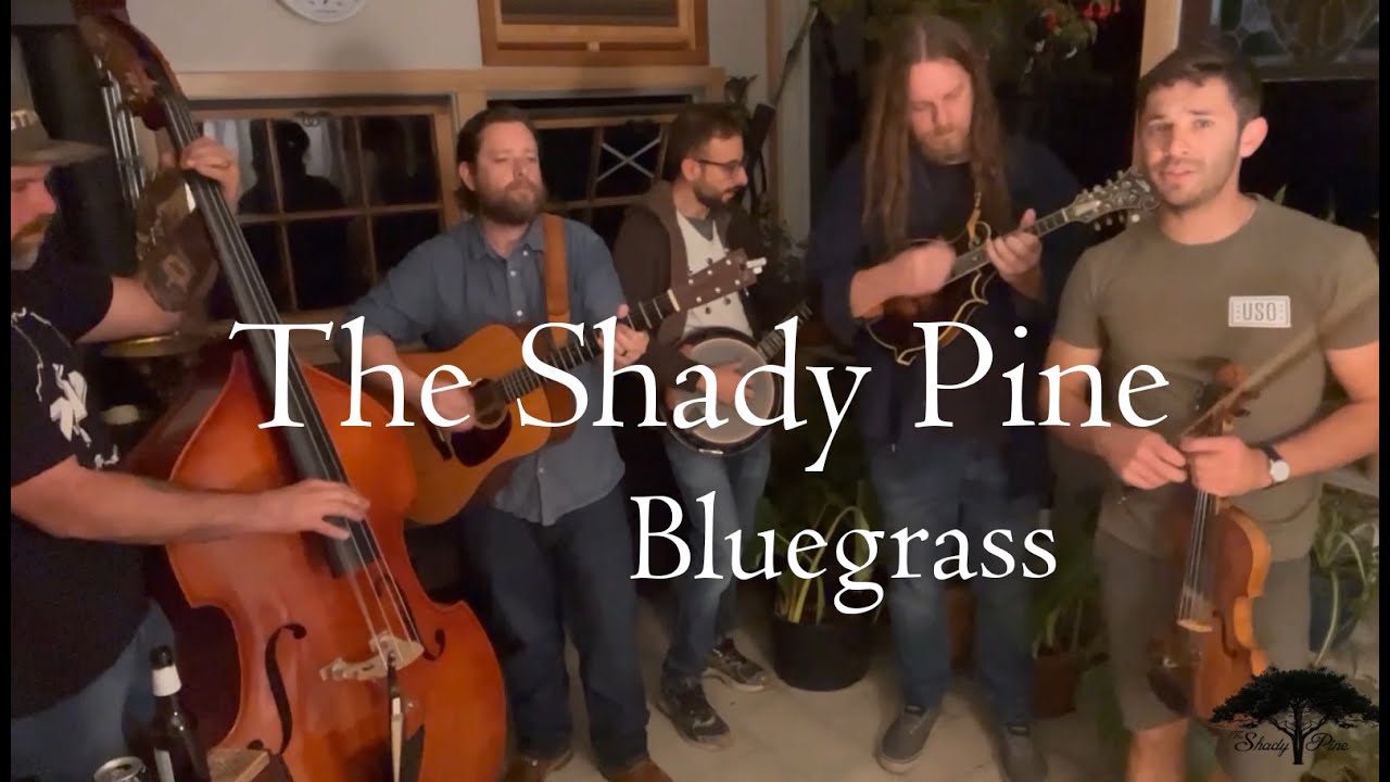 The Shady Pine- 'Suzanne' (Harley Allen/Mike Lilly Cover) - YouTube