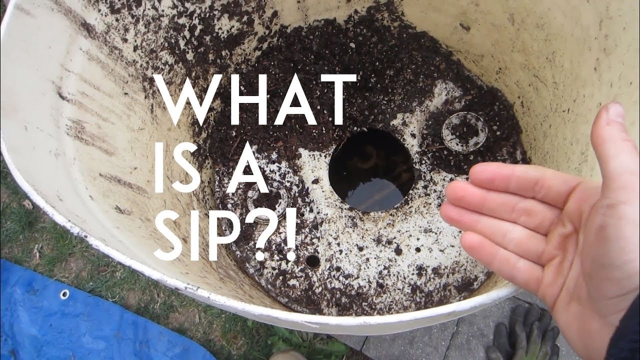 All about SIPs! - I found a better way - YouTube