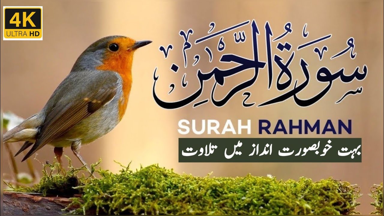 Surah Ar Rahman Full 4k Video With Beautiful Voice | Tilawat e Quran e ...