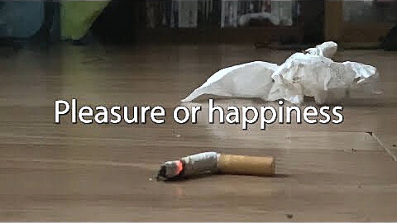 Pleasure vs Happiness - YouTube