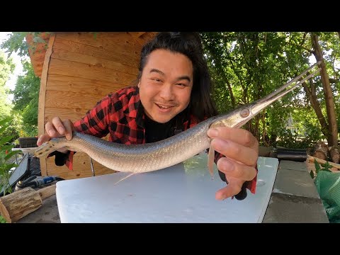 Clean Cook Gar - YouTube