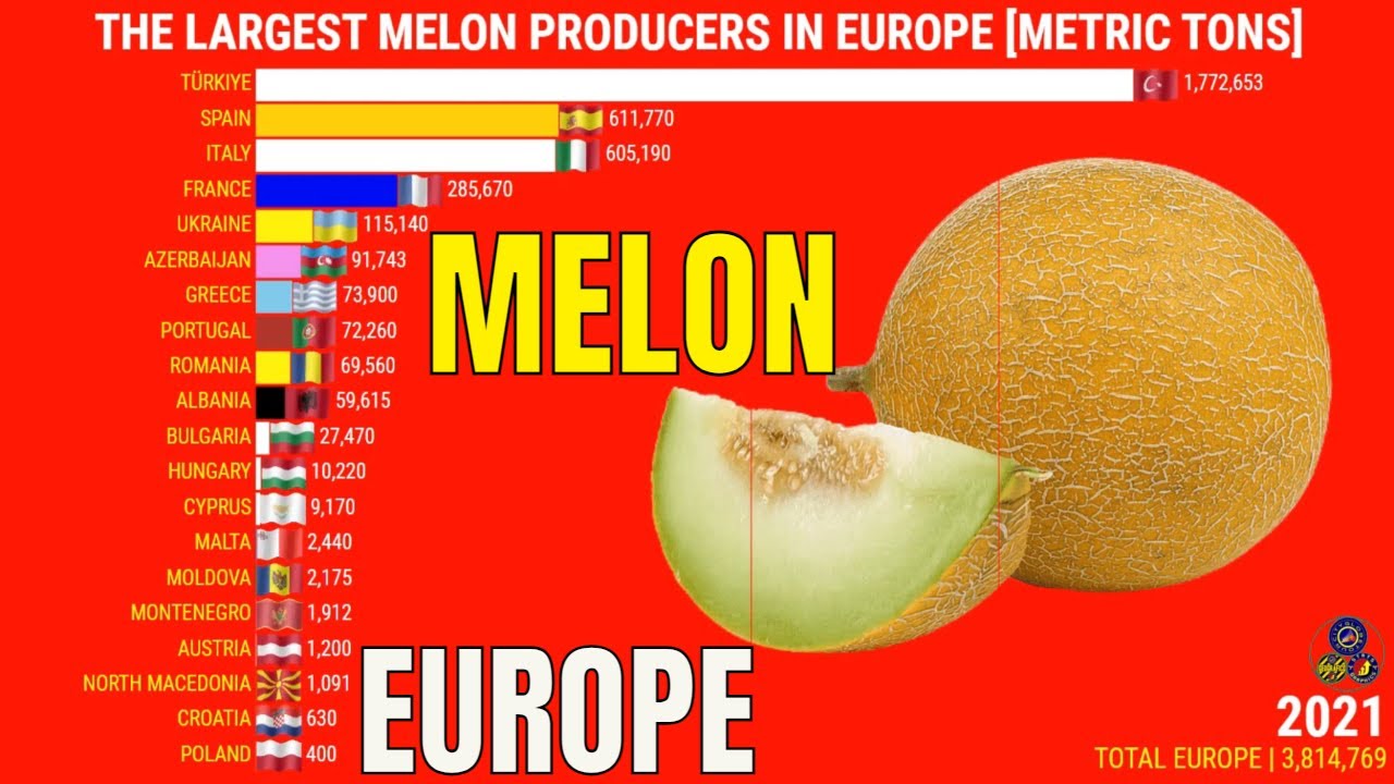 THE LARGEST MELON PRODUCERS IN EUROPE - YouTube