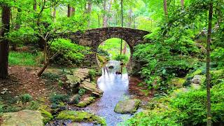 may 2024 road trip - Garvan gardens, hot spring, Arkansas.