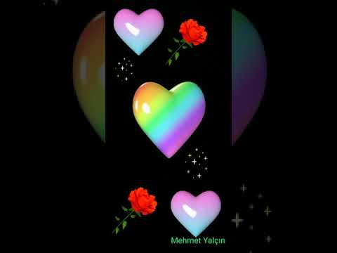 Mehmet Yalçın Başımla gönlüm