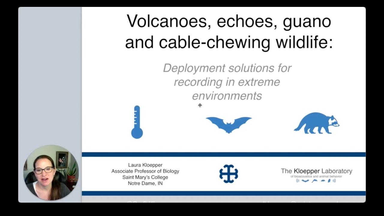 Laura Kloepper: Volcanoes, Echoes, Guano, and Cable-chewing Wildlife ...