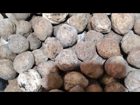 hugis puso mutya ng gubat or corazon de maria - YouTube