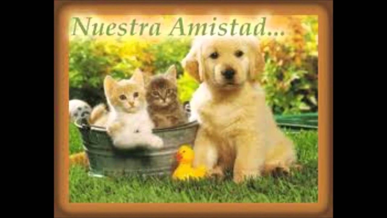PATY DE LA ROSA. - YouTube