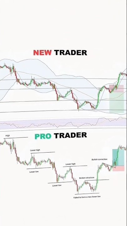 New Trader vs Pro Trader.... - YouTube
