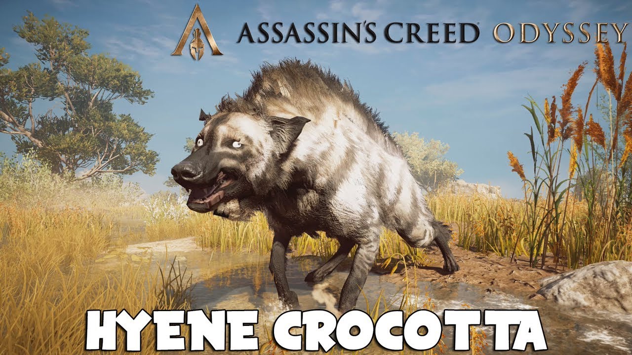 HYÈNE CROCOTTA - CHASSE - Assassin's Creed ODYSSEY - royleviking [FR PC ...