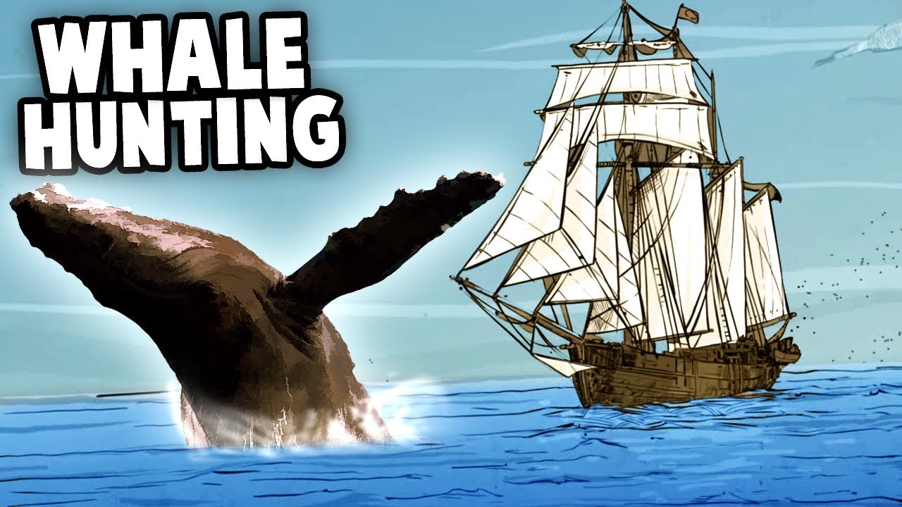 Whale Hunting! MOST FUN GAME! Chasing Moby Dick (Nantucket Gameplay Part 1) - YouTube