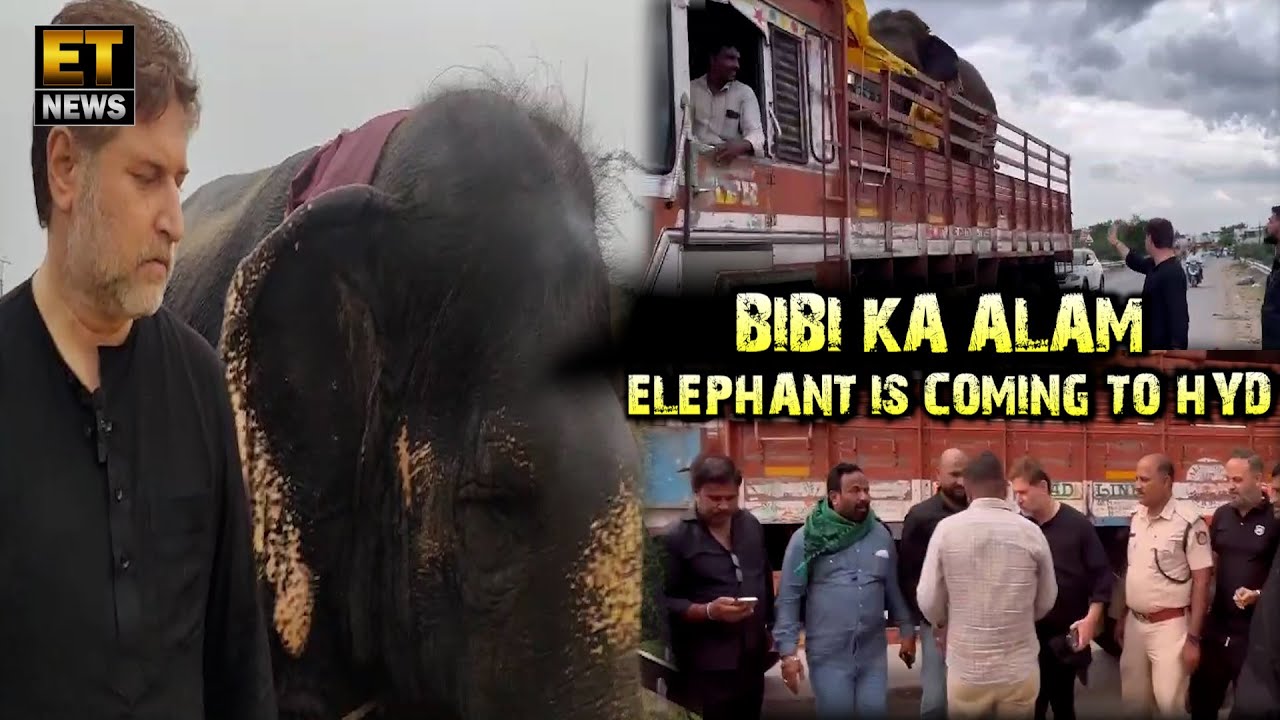 Badi Rukawaton Ke Baad Elephant Pahuncha Hyd, 10 Moharam Ke Liye ...